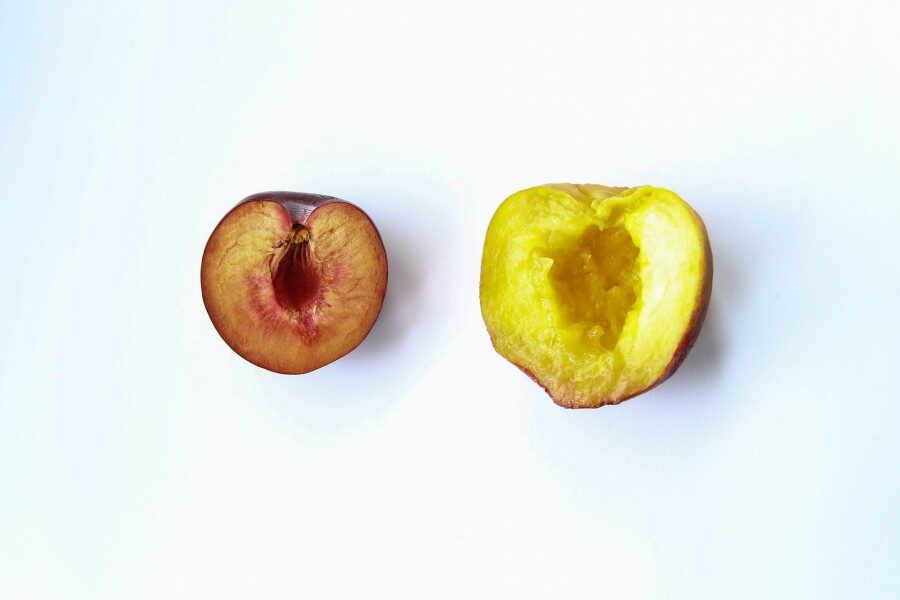 The benefits of cunnilingus and its harm: 10 wow facts you don't know about